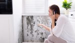 Is Mold Covered by Home Insurance?